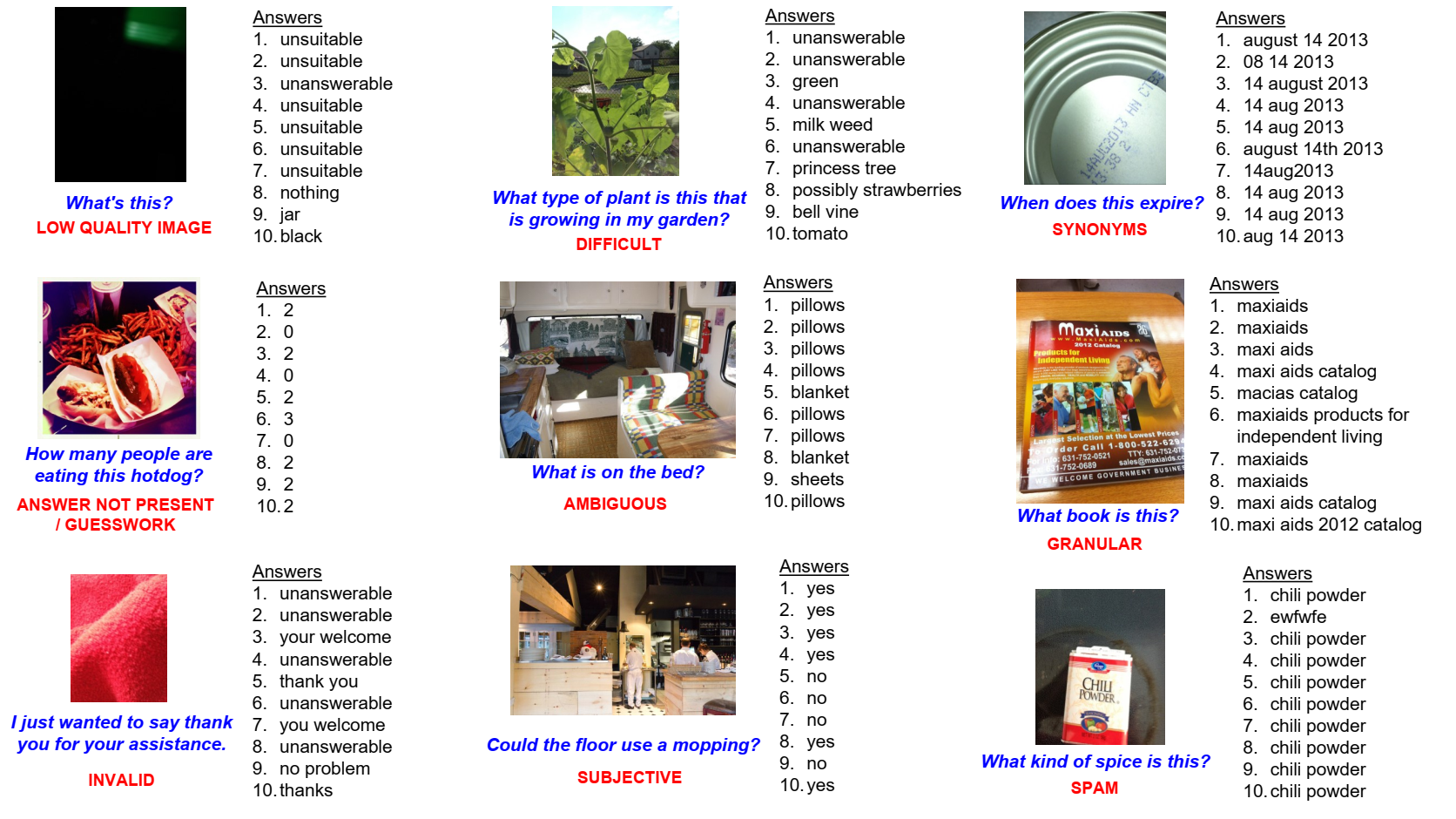Visual Question Answer Differences – VizWiz