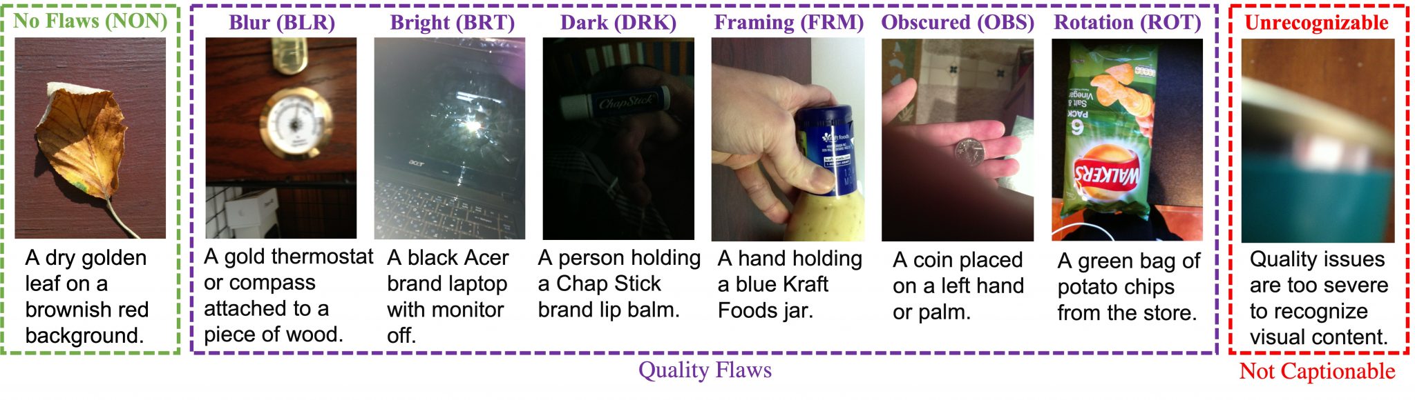 Image Quality Assessment – VizWiz